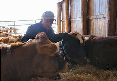 Doug Stephan's Dairy Farm Suffers Devastating Loss